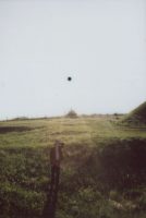 MMSCENE PORTRAITS: Dominik Zwyrtek by Filip Preis