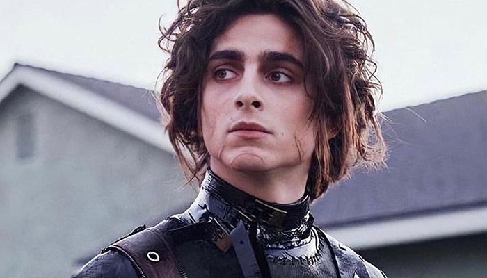Timothée Chalamet Poses as Edward Scissorhands for Vogue Magazine