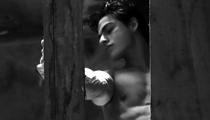 Michael Stokes Quentin Elias