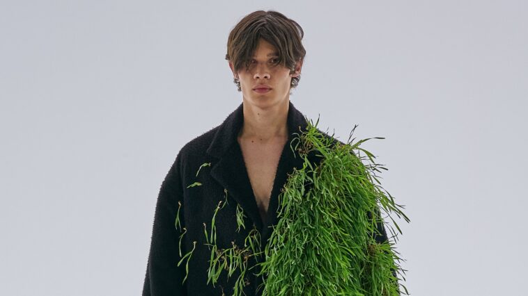 Daniel Macedo by Johnny Lopera