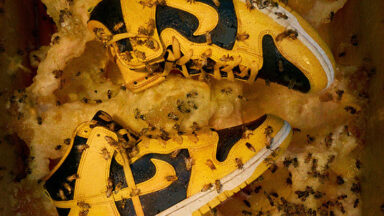 The Nike x Wu-Tang Dunk Returns